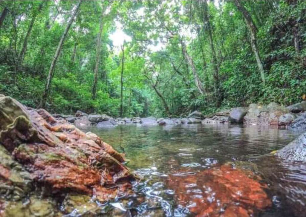 Tugbo Natural Biotic Area ng Masbate