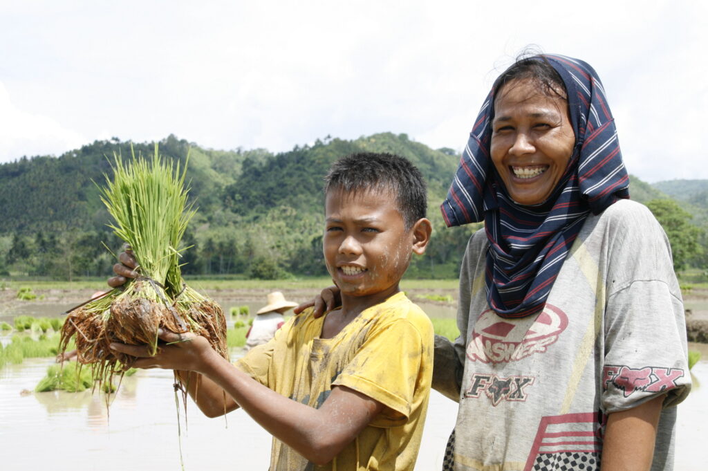 PBBM, maglalaan ng Php31 Bilyong peso para sa National Rice Program sa ...